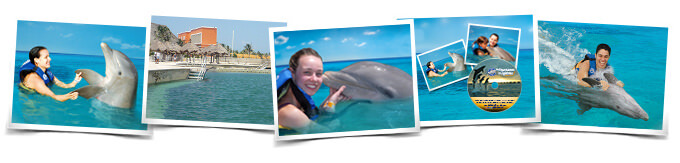 Swim Adventure Memories at Costa Maya | Dolphin Discovery